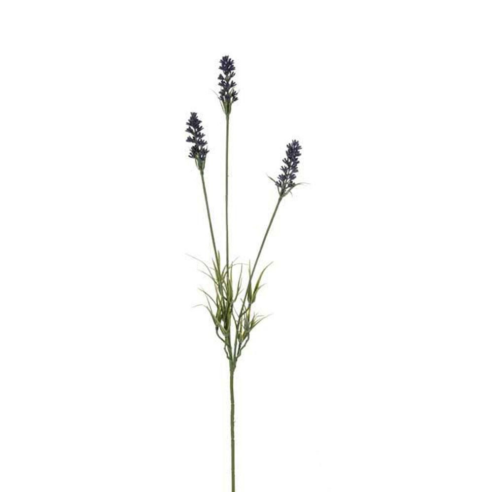 LAVANDA RAMO 3F CM.62 LAVANDA - PuntoUno